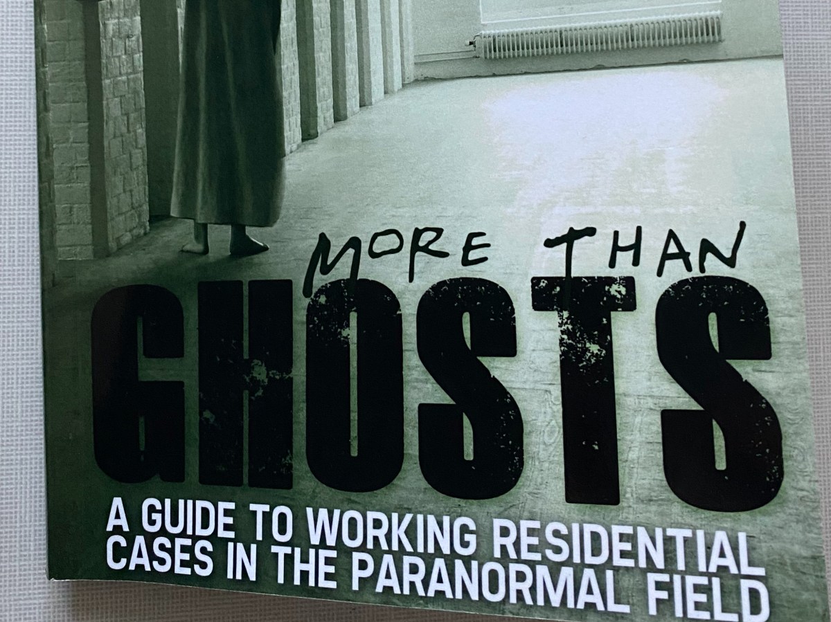 Book Review: More Than Ghosts: A Guide to Working Residential Cases in ...